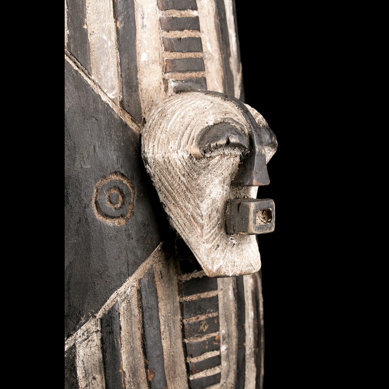 Songye Ngabo shield Congo - Auctions African Art Gallery