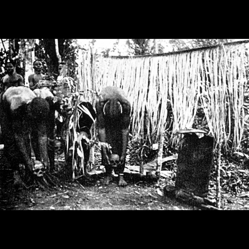 Fang Betsi Añgokh Nlô Byeri reliquary head Gabon - African Art Gallery