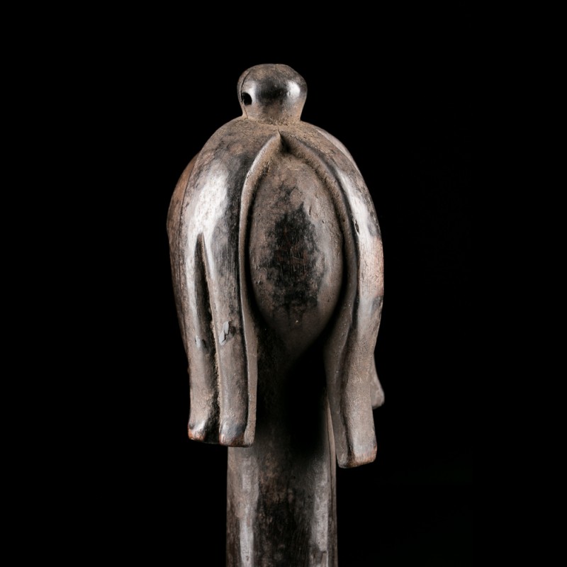 Fang Angokh Nlo reliquary head - African byeri from Gabon african art ...