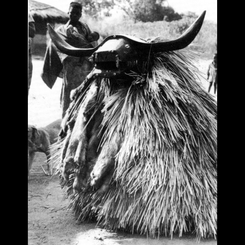 Tabwa Kiyunde buffalo helmet mask Congo - African Art Gallery