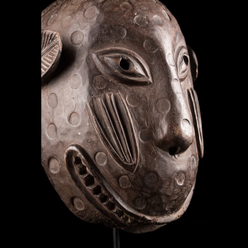 Edo leopard head Nigeria - African Art Gallery Heritage