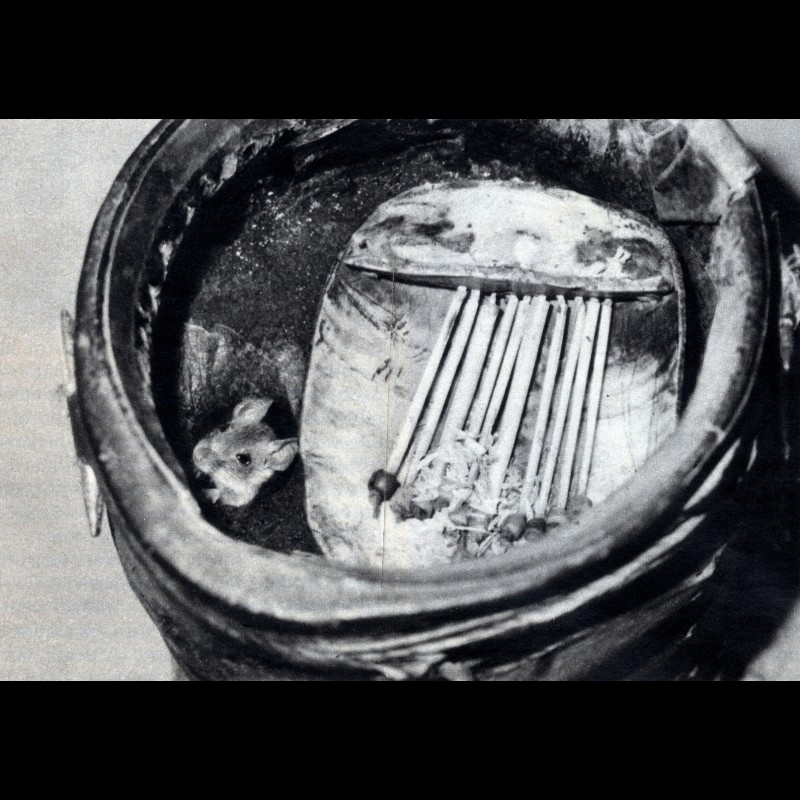 Baule Gbekre Se mouse divination oracle vessel from Ivory Coast