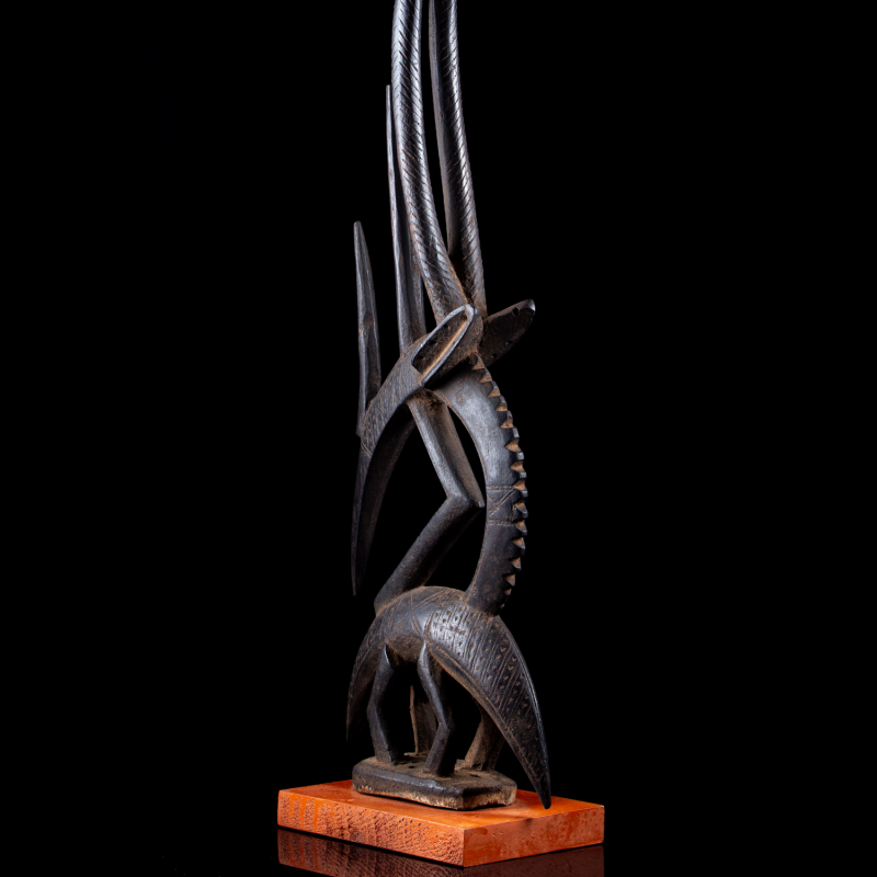 Bamana Ci Wara african mask - Dr. Kremer tribal collection Switzerland