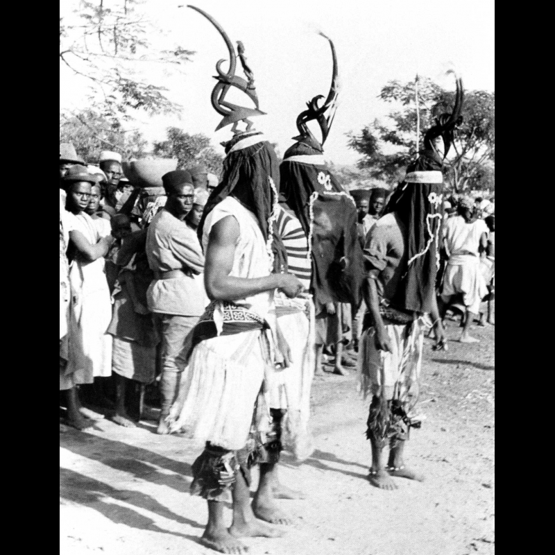 Bamana Ci Wara african mask - Dr. Kremer tribal collection Switzerland