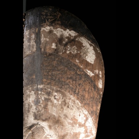 Large shield - Songye - Congo - traditional african art Italy Spain ...