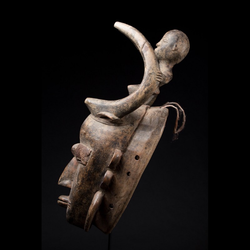 Bull mask - Ligbi - Ivory Coast - primitive african art