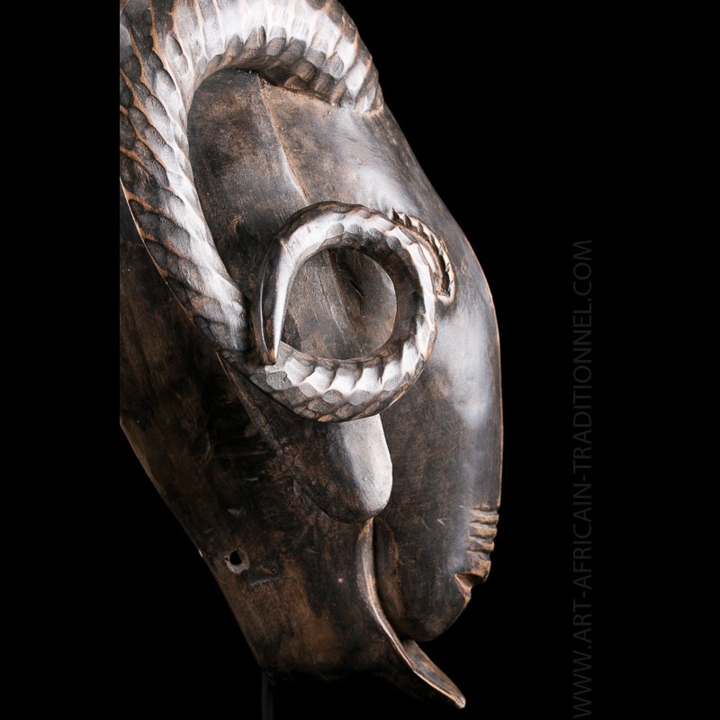 Ram mask Baule Ivory Coast Authentic African Tribal Art Gallery