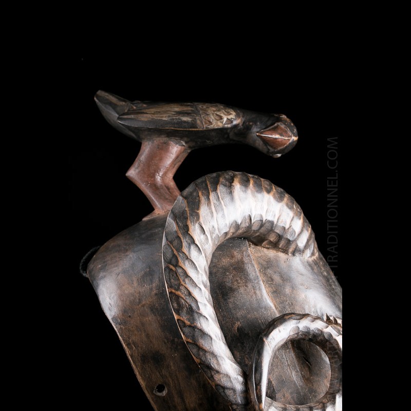 Ram mask Baule Ivory Coast Authentic African Tribal Art Gallery