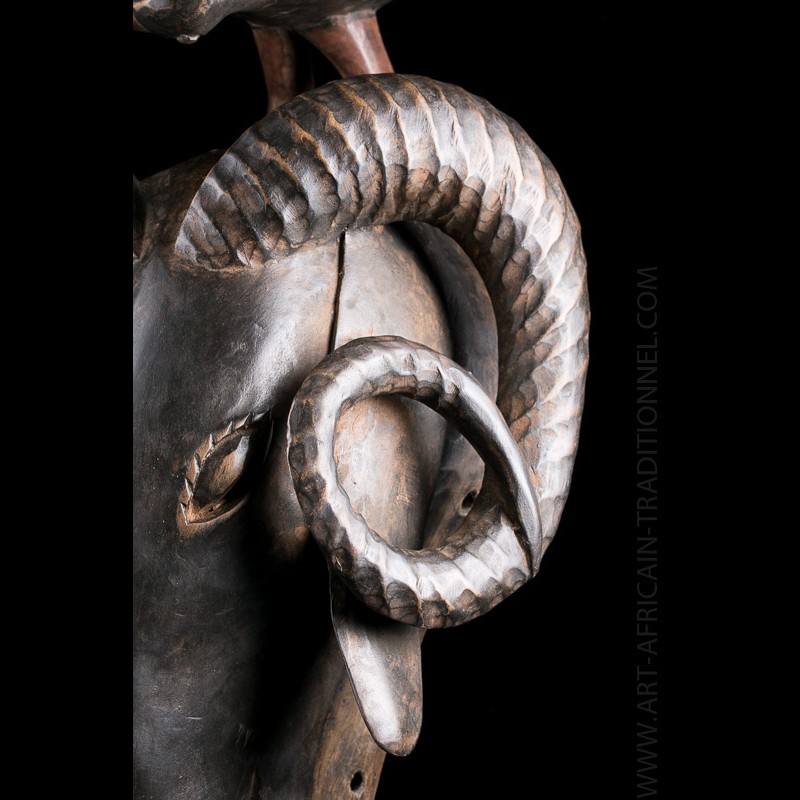 Ram mask Baule Ivory Coast Authentic African Tribal Art Gallery